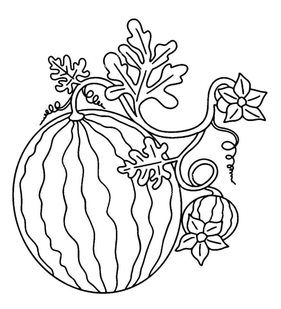 スイカ ぬりえ - KodomoNurie.Com