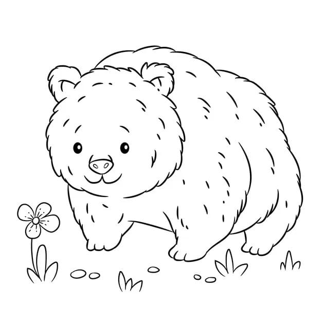 クマを描く楽しみ - 印刷可能ぬりえ無料ダウンロード